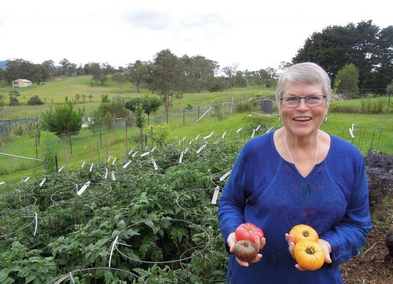 S2E4 The Dwarf Tomato Project - Free The Seed! Podcast - Open Source ...